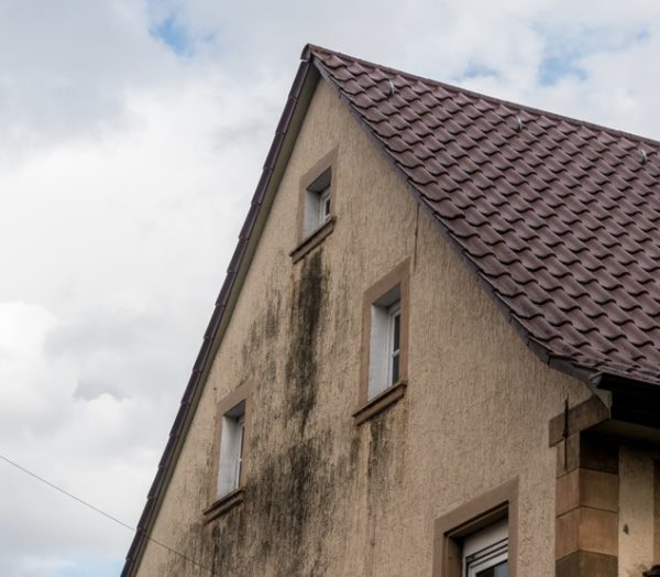 WDVS Fassade: Aufbau und Reinigung der Dämmung